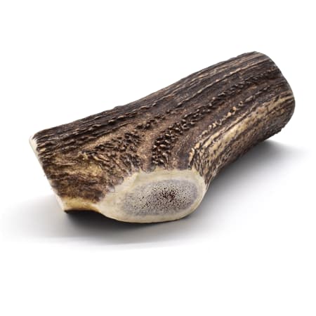 Antler Chews — WPS Pet Supplies