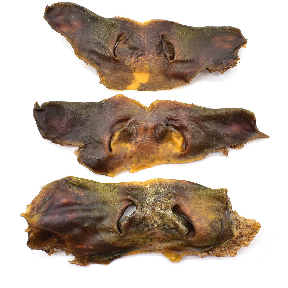 XL Jumbo Cow Noses/Beef Snouts x 3 — WPS Pet Supplies